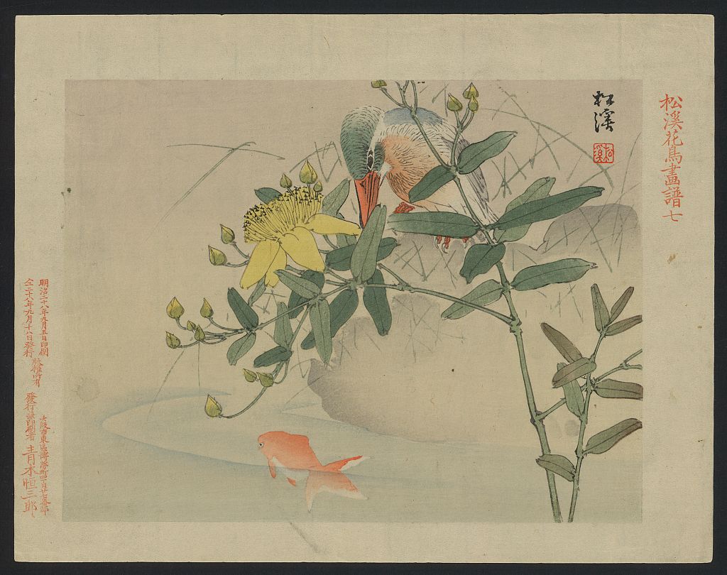 Modern illustrated sheets with pictorial envelope – Second Story Prints